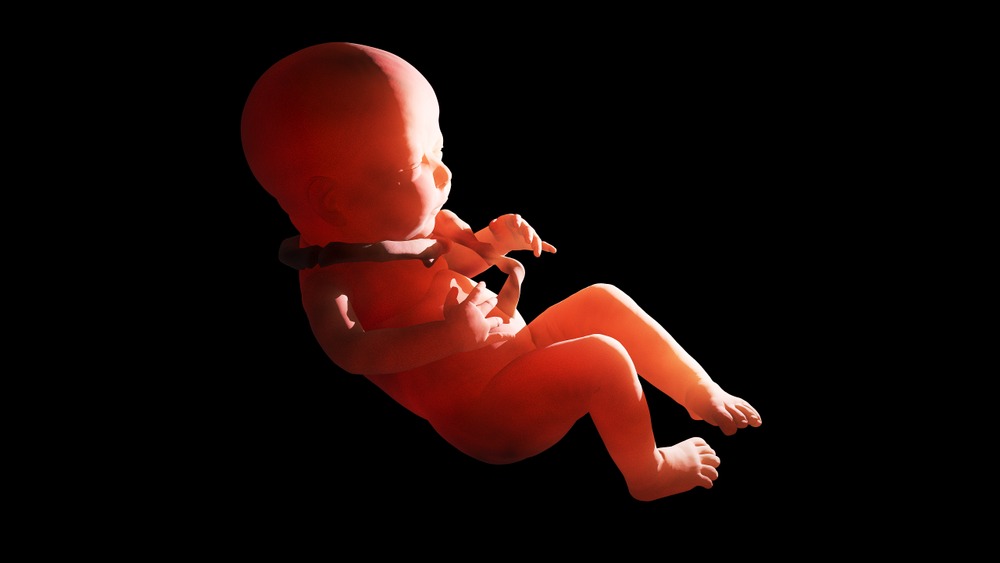 Risk Factors for Birth Asphyxia | Birth Injury Lawyer